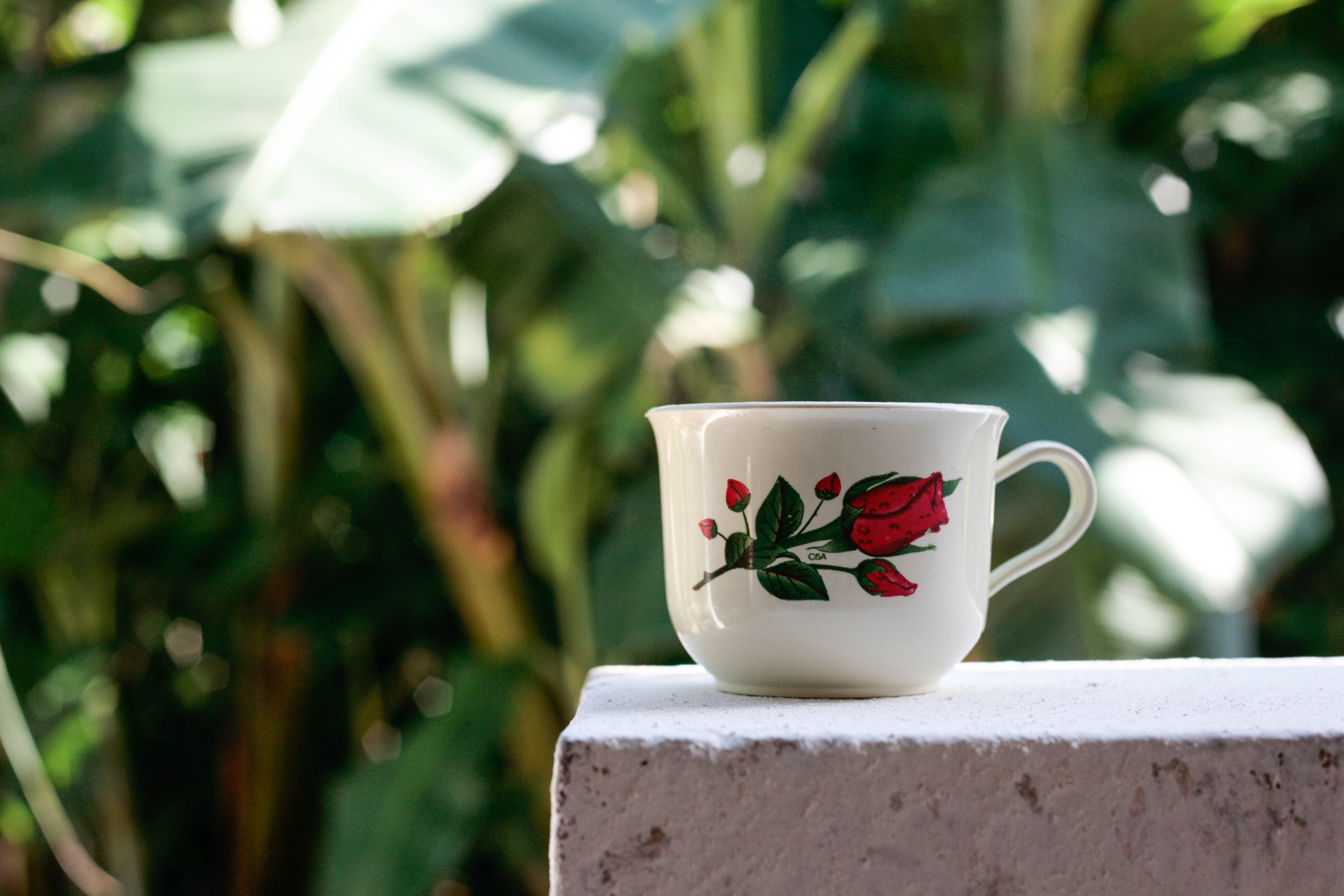 Strong And Sweet Haitian Coffee Brewing 1335 Frankford